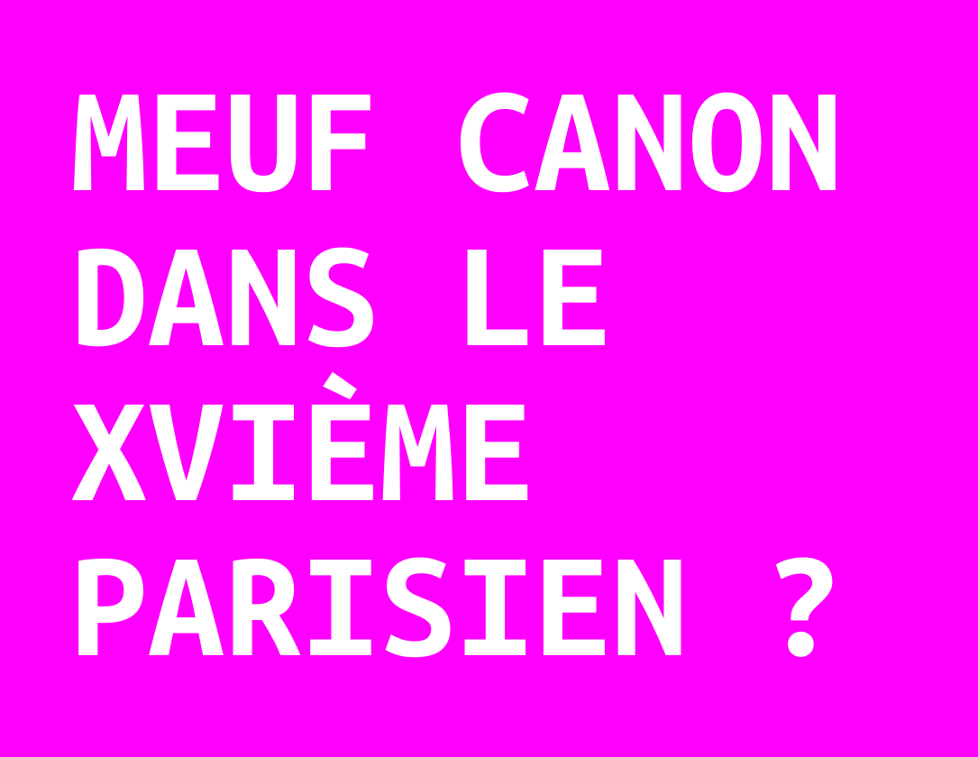 Chaque meuf canon rêve t-elle d'emménager dans le XVIème ? | La Meuf du 16